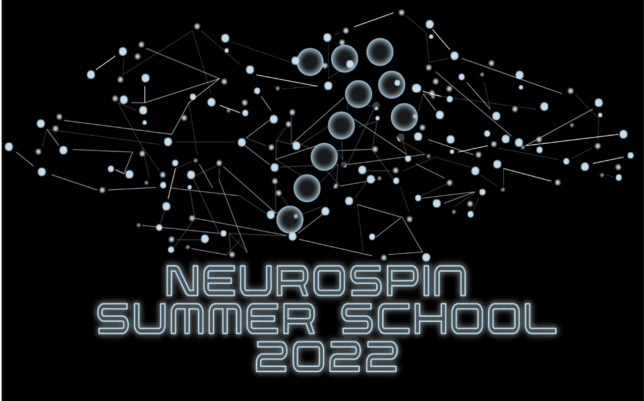 NeuroSpin summer school 2022 in Lausanne – SPEAR ITN